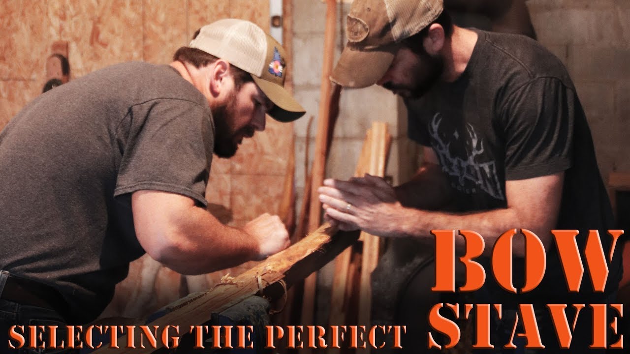 Primitive Bow Building for Beginners - selecting a selfbow stave - YouTube