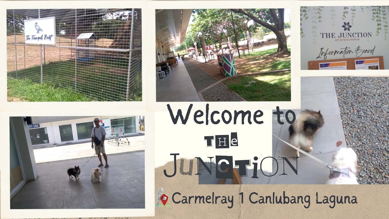 MORNING WALK WITH SACHI AND KOJI 🐾🐕♥️ @CARMELRAY CANLUBANG CALAMBA PHILIPPINES - YouTube