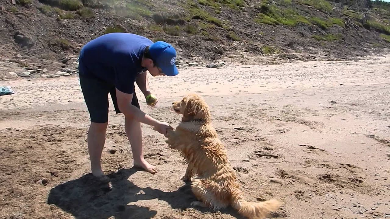 Finley at the beach - YouTube