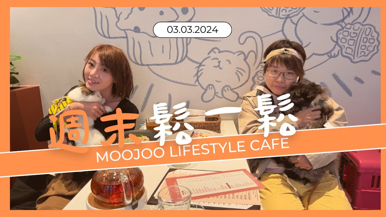 【週末鬆一鬆】寵我貓星人 ︳西營盤藝里坊 ︳MOOJOO Lifestyle Cafe ︳寵物友善餐廳 - YouTube