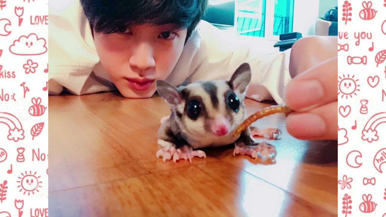 A Guide to BTS's Cute Pets 🐾 - YouTube