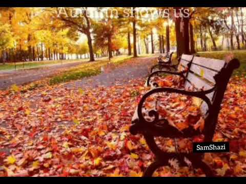 Autumn's Lesson||September fall whatsapp status