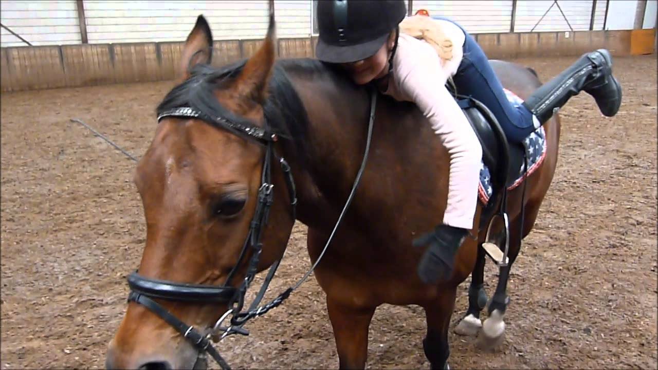 Lara & Drisj doen gekke trucs | Manege de Hoef | Lara's Paardenwereld ...