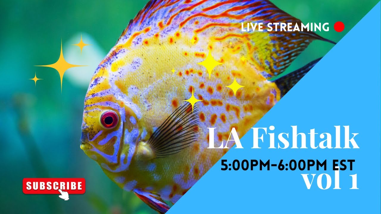 LA Fishtalk vol.1 eps 7 - YouTube