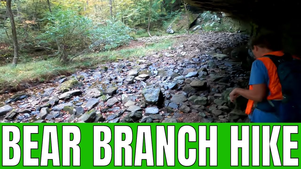 Exploring Bear Branch in the Lusk Creek Wilderness area - YouTube