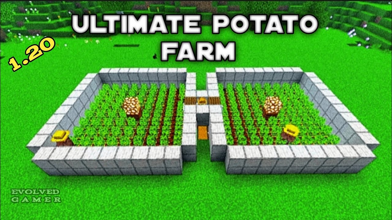 How to make Automatic Potato Farm in Minecraft|Farm Like a Pro🧑‍🌾 - YouTube