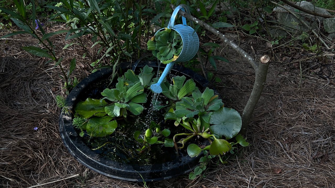 Poposoap 12watt solar pump set-up - YouTube