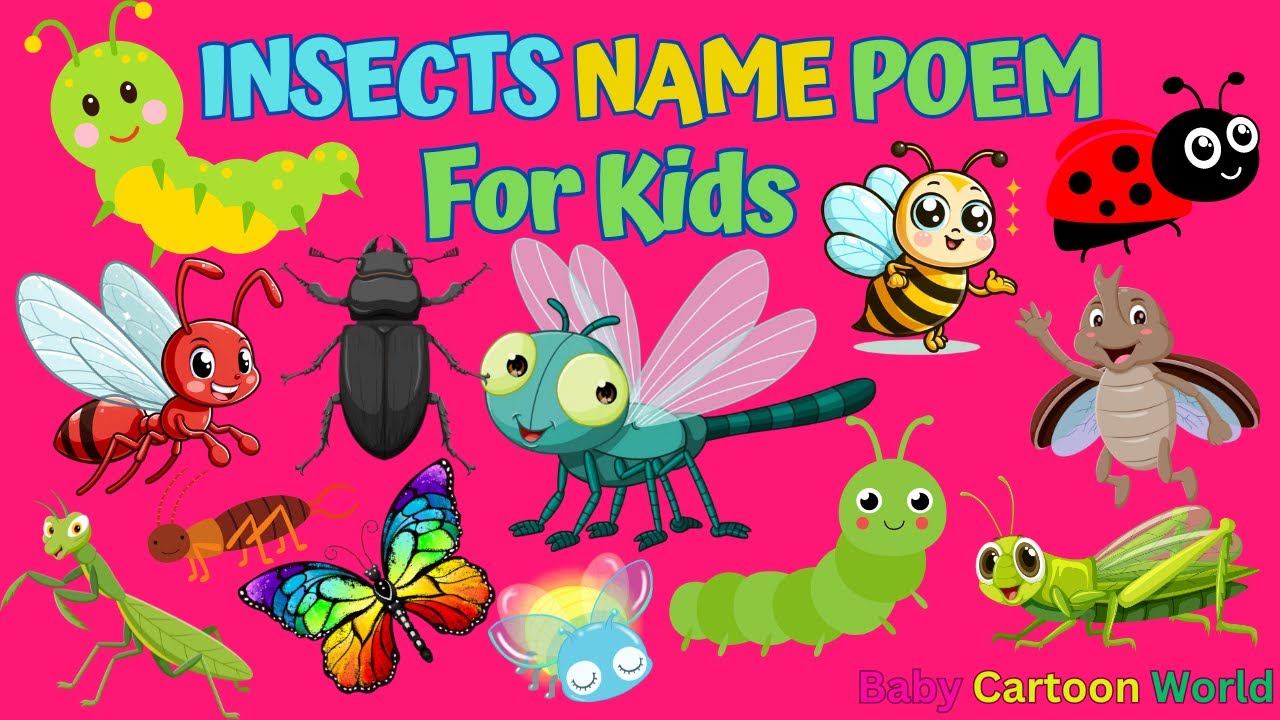 Insects Name Poem for kids - YouTube