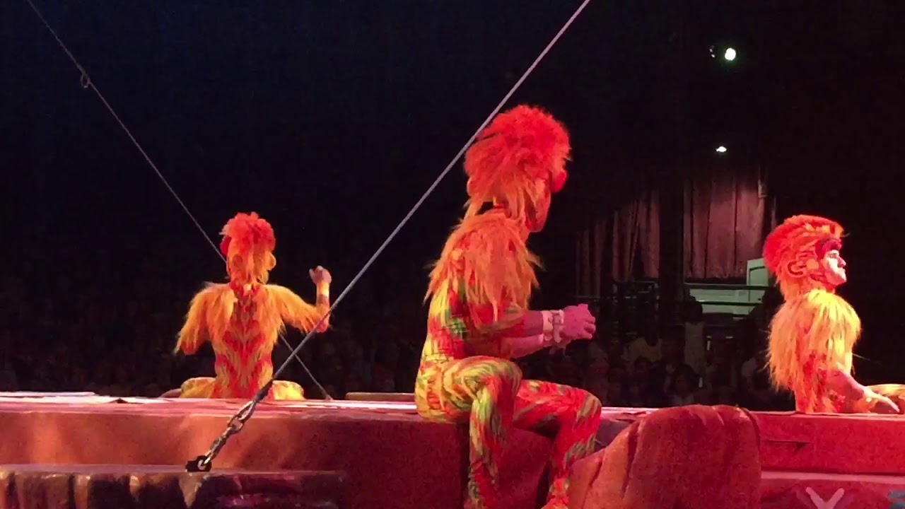 Tumble Monkeys (Festival of the Lion King) - YouTube