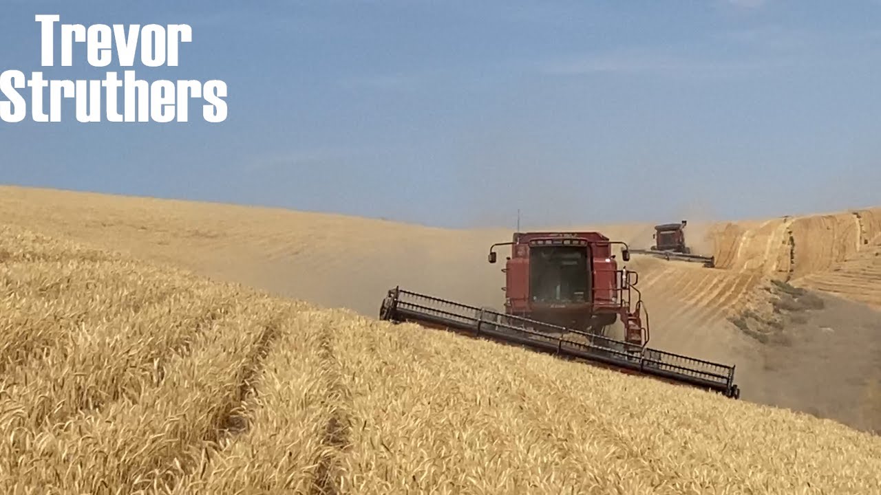 Comin' down the hills - Grain Hogs S02E12 - YouTube