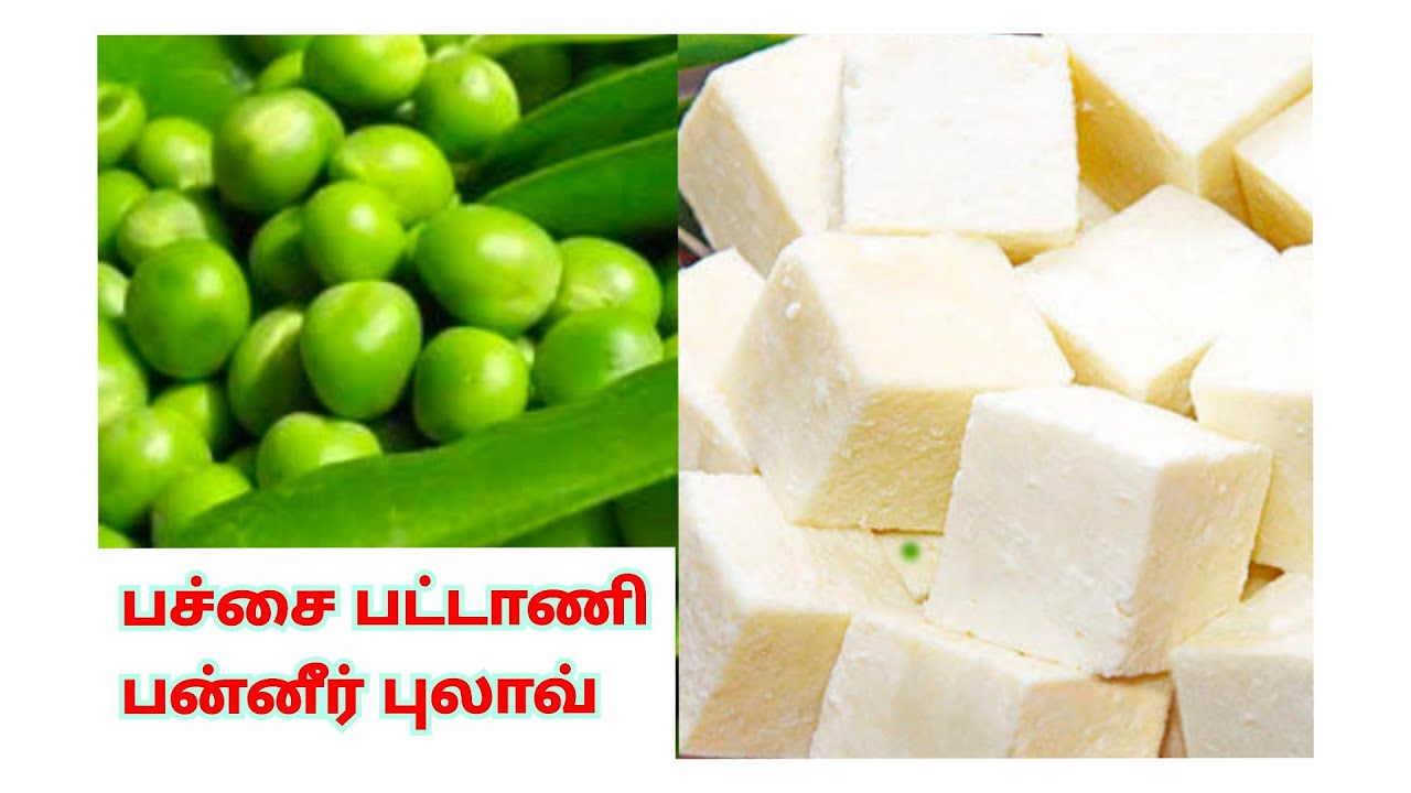 பட்டாணி பன்னீர் புலாவ் ரெசிபி# pacha pattani pannir pulav recipe in ...