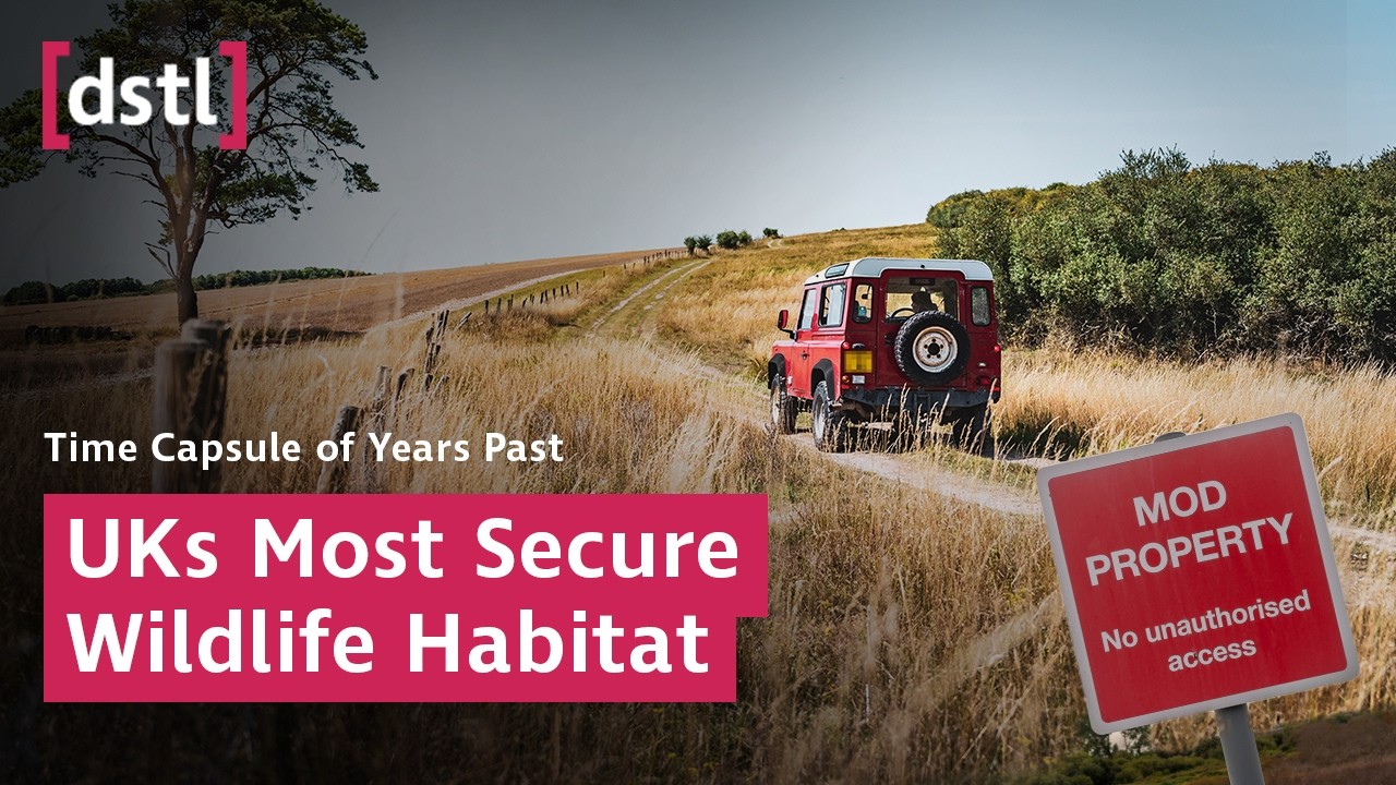 Unique Wildlife Habitat: Time capsule of years gone past - YouTube