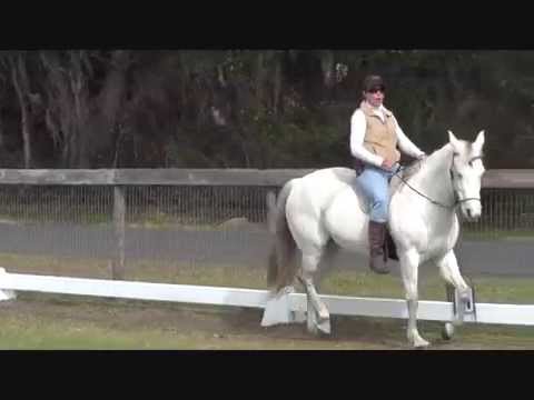 How to Ride the Trot & Canter: Part II - YouTube