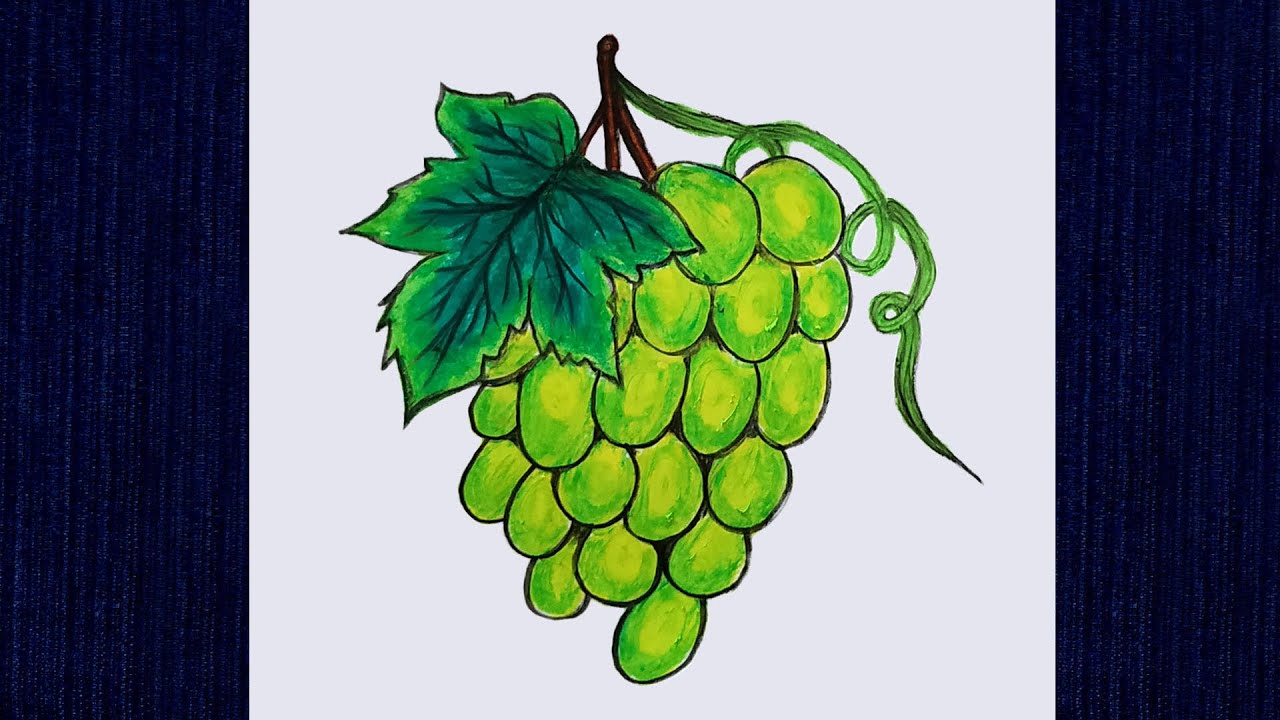 How to draw Grapefruit | Grape drawing step by step | Fruit drawing ...