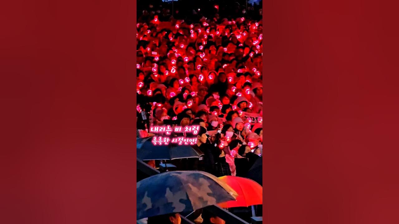 비내리는 겨울 밤 분홍 홍등 속의 시절인연 이찬원 영동곶감축제 Youtube