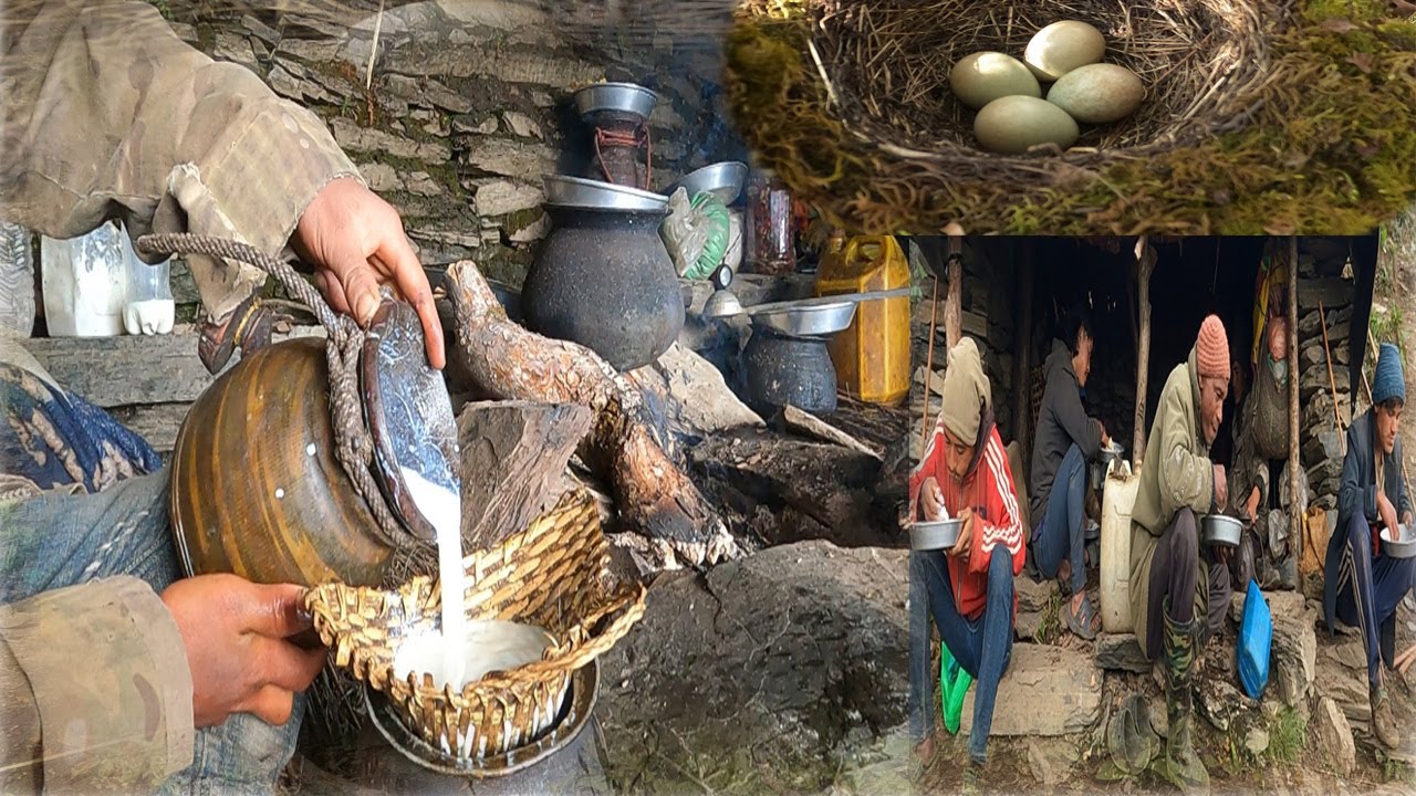 We Are Finally Sheep Milk Boiling || Food Cooking Eating with Meat ...