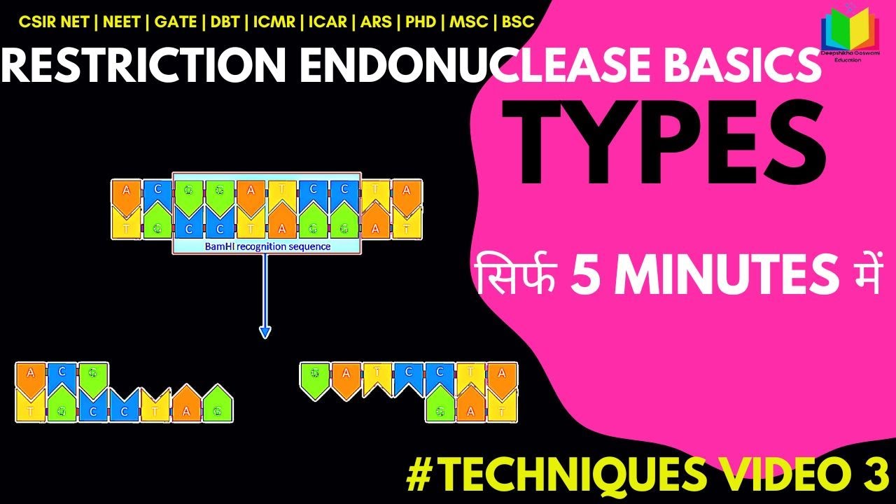RESTRICTION ENDONUCLEASE ENZYMES |BASIC PRINCIPLE & TYPES | METHODS IN ...