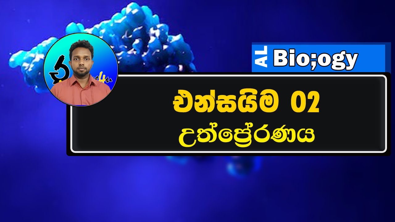 AL Biology|එන්සයිම වල ක්‍රියාකාරීත්වය | Mechanism of the enzymes - YouTube