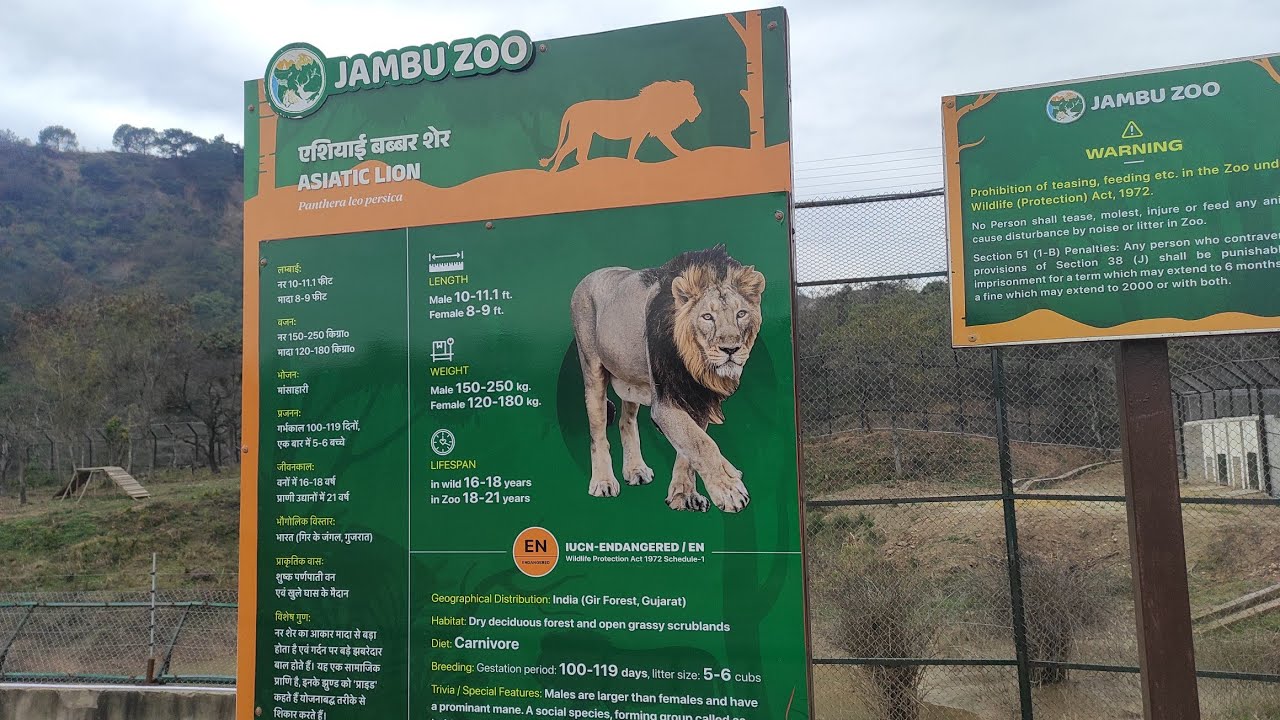 jambo zoo 🐘🐼🐯 jammu | Travel vlog | adventure | araids travel trips ️🎥 ...