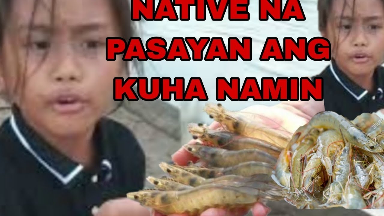 PAGPANLAYA UG NATIVE NGA PASAYAN@RONCAR TV - YouTube