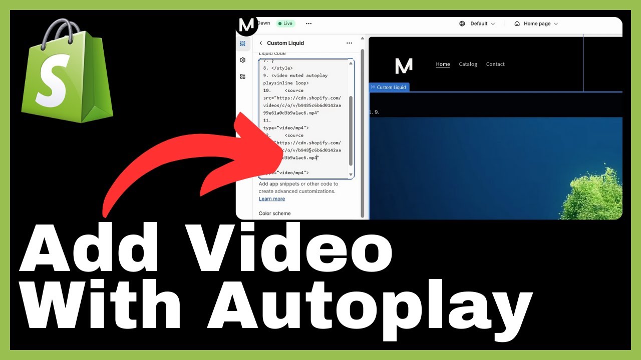How to Add Video With Autoplay on Shopify - YouTube
