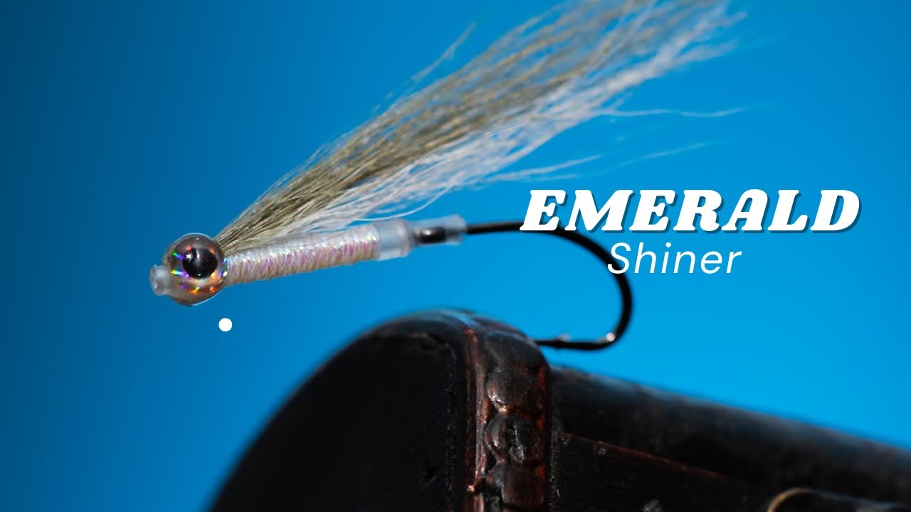 EMRALD SHINNER - YouTube