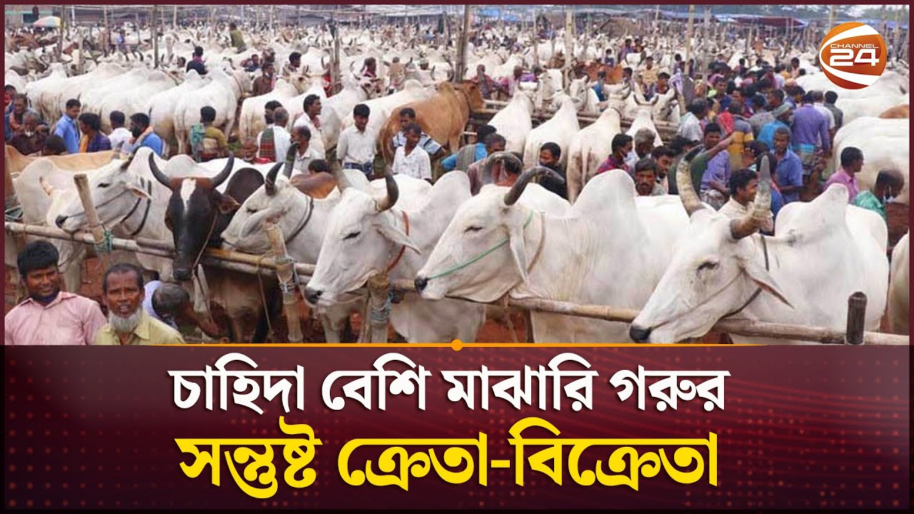 জমজমাট কোরবানির পশুর হাট | Haat | Eid Ul Adha | Channel 24 - YouTube