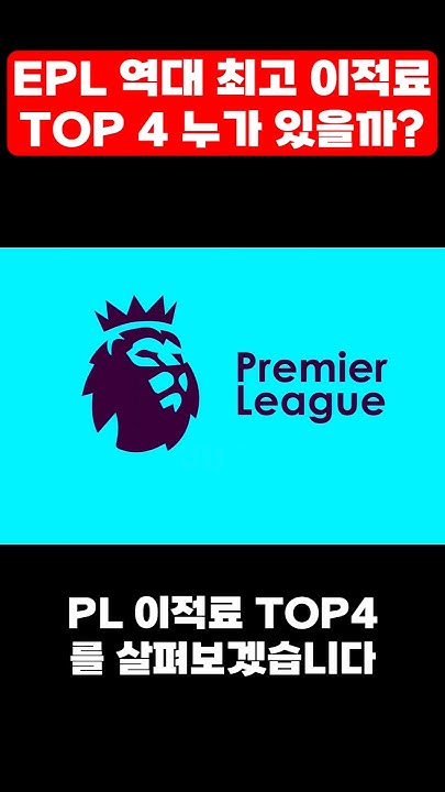 현 시점 PL 이적료 TOP4 Transfer fee Top4 In PL - YouTube