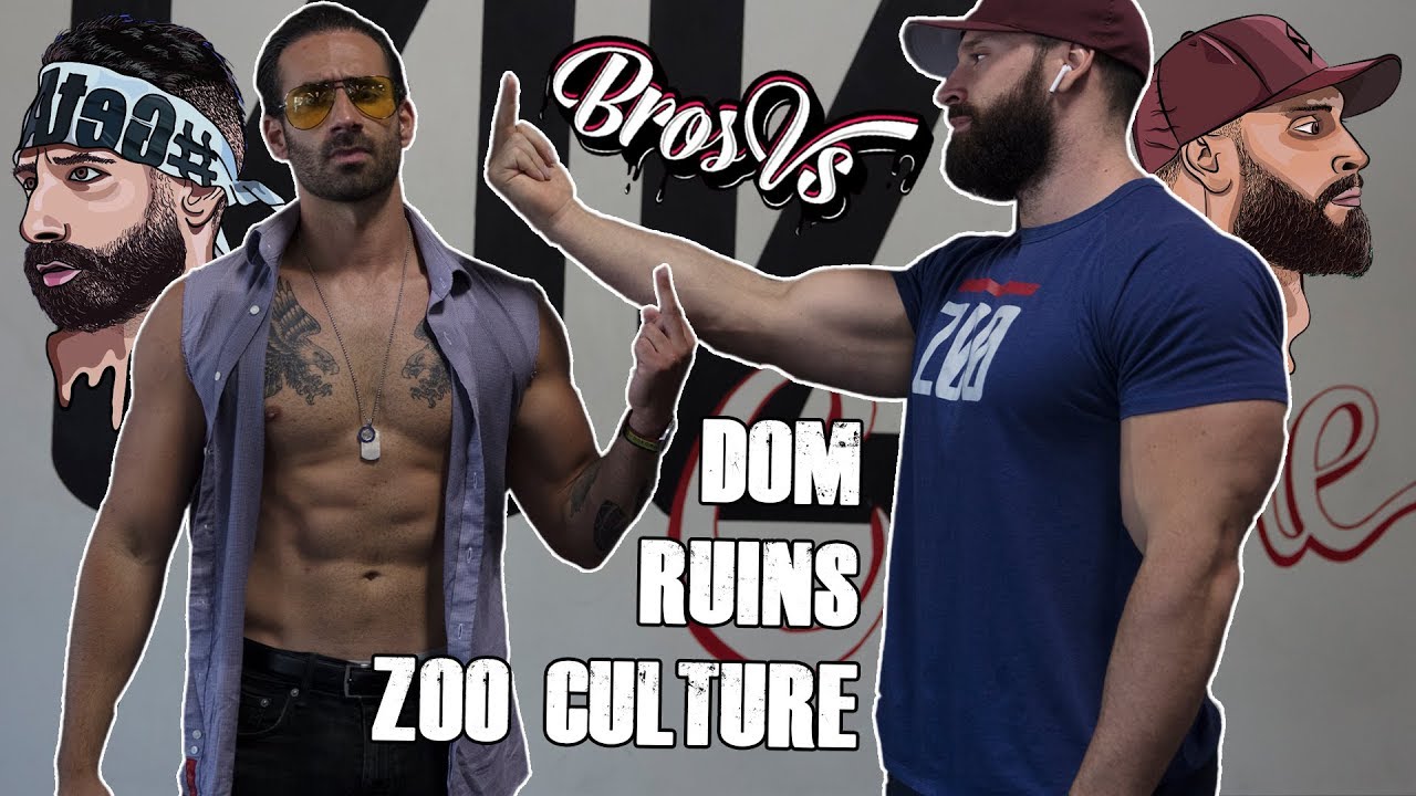 Dom Mazzetti RUINS Bradley Martyn's Gym | Bros Vs. (Part 2) - YouTube