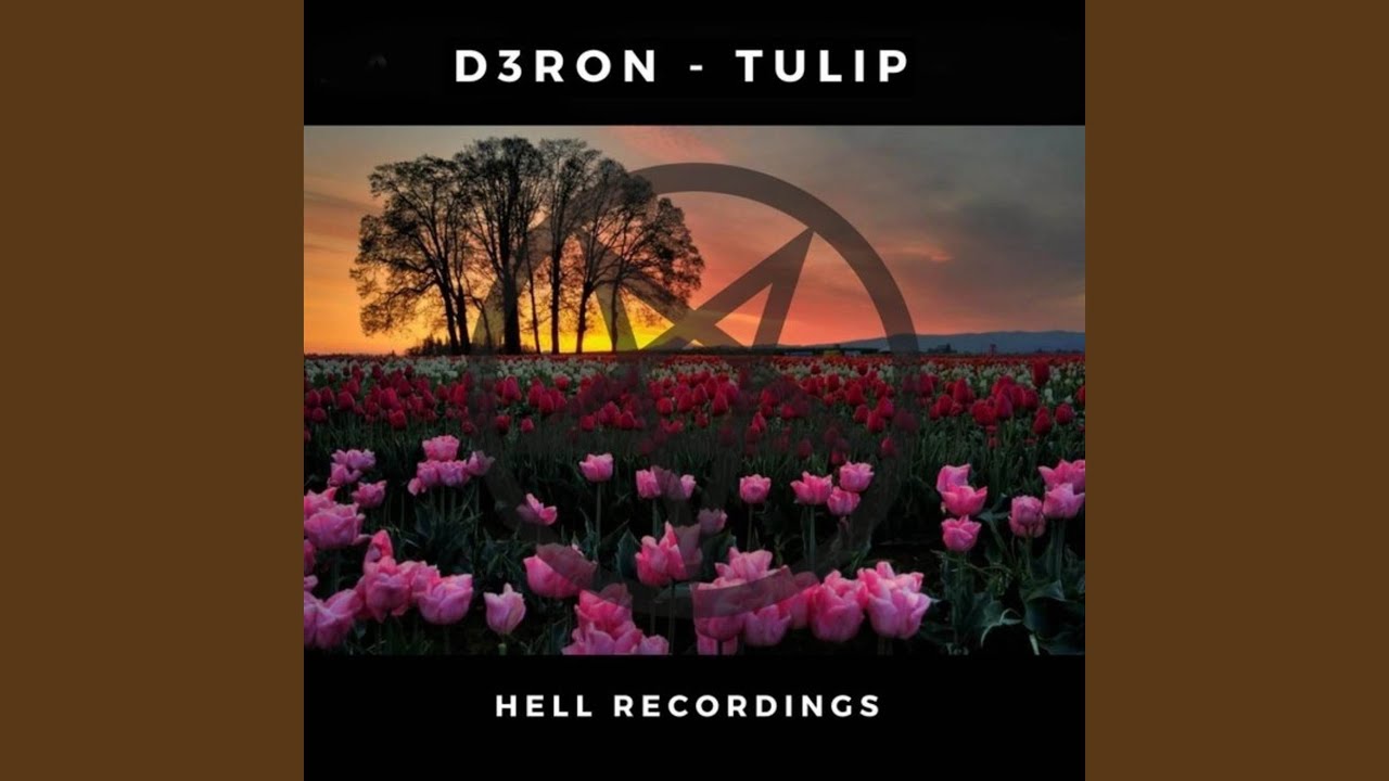 Tulip - YouTube