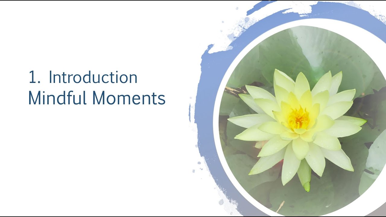 1. Introduction to Mindful Moment Series - YouTube
