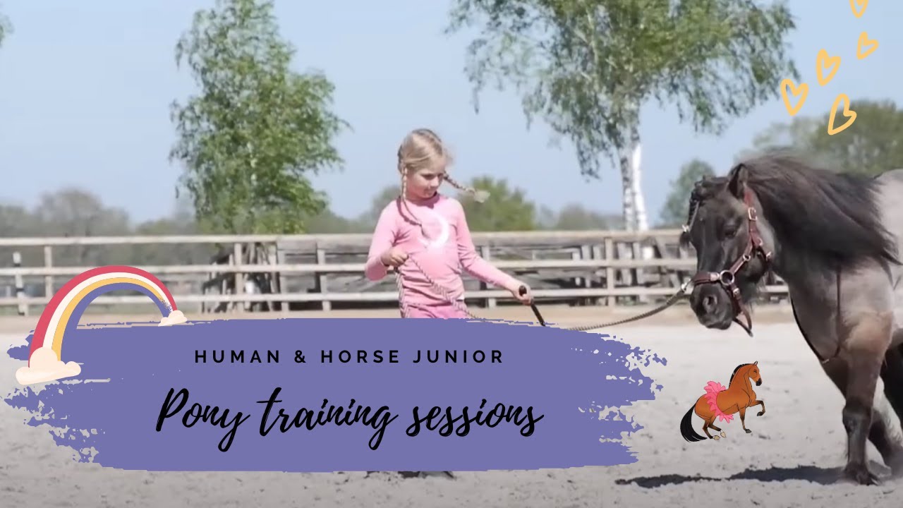 PONY TRAINING SESSION; GROUNDWORK,WORK IN HAND, LUNGING, NECKROPE🦄🌜🤎🤍 ...