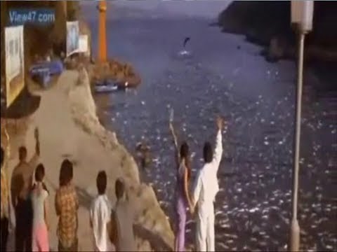 Gorgeous ending and bloopers