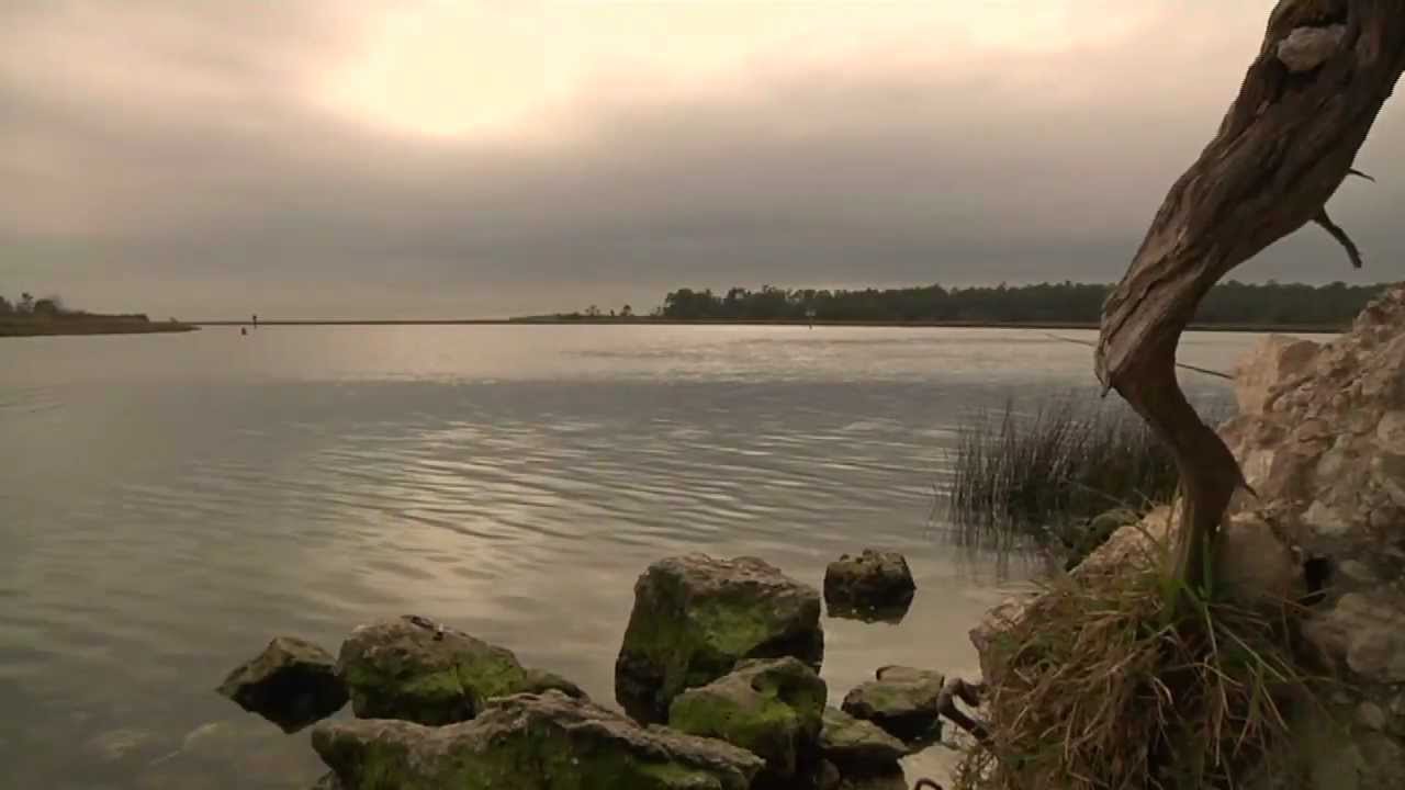 Down the St. Marks River with the Green Guides: EcoAdventures North ...