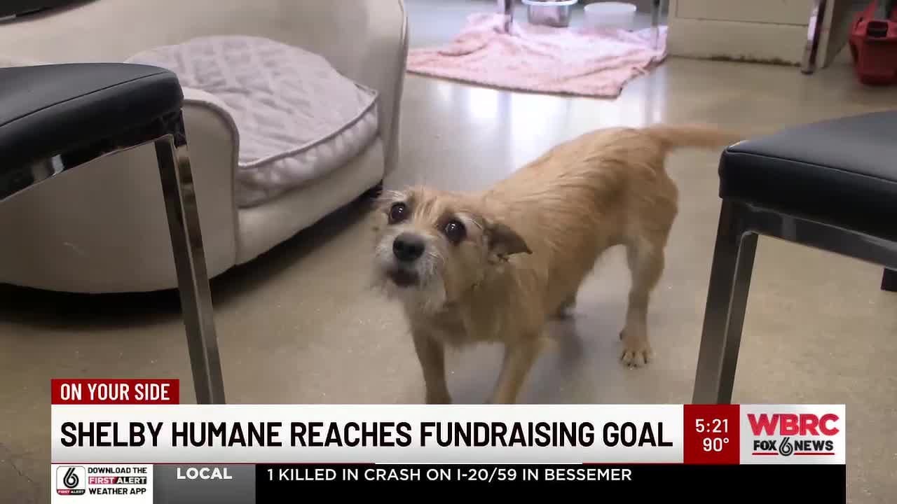 Shelby Humane reaches fundraising goal - YouTube