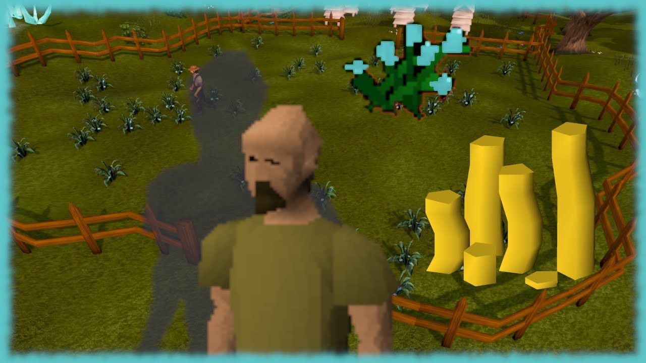 The Dumbest Bot In Runescape History - YouTube