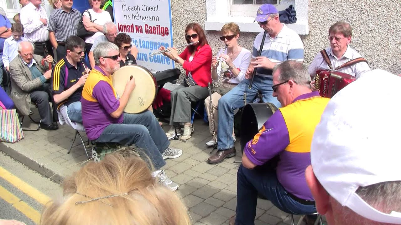 CAVAN FLEADH 2012 Wexford traditional group - YouTube