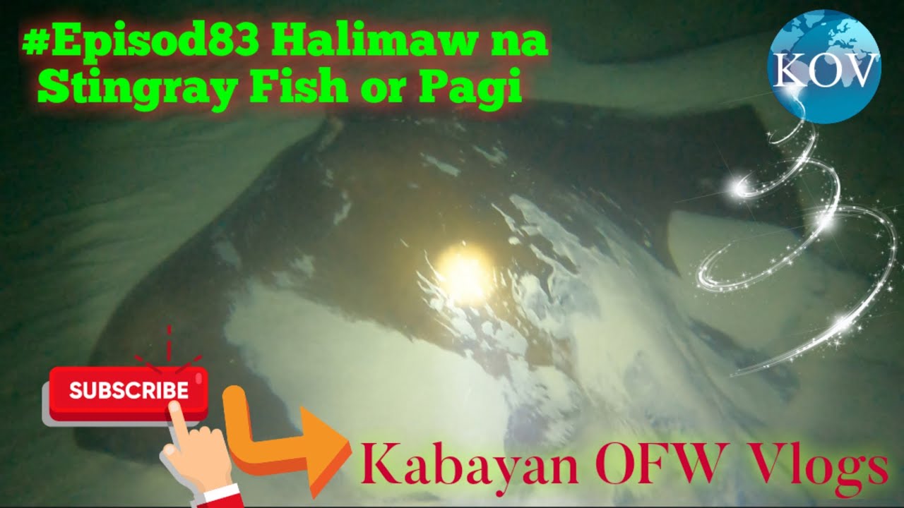 #Episod83 #Halimaw na Stingray Fish or Pagi#Kabayan OFW Vlogs - YouTube