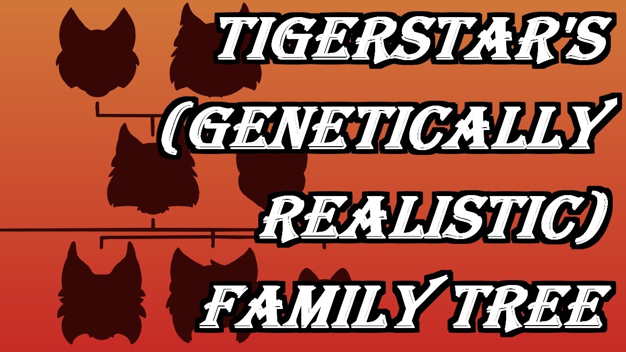 Tigerstar's (Genetically Realistic) Family Tree [CC] - YouTube