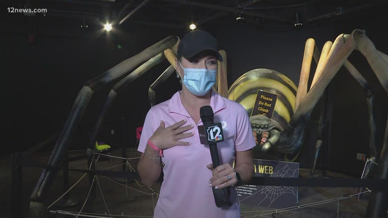 Arizona Science Center holding spider exhibit over the summer - YouTube