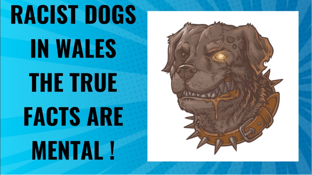 Welsh racist dogs the truth - YouTube