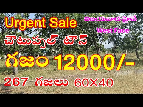 Low cast price open plot for sale choutuppal || Low cast price open ...