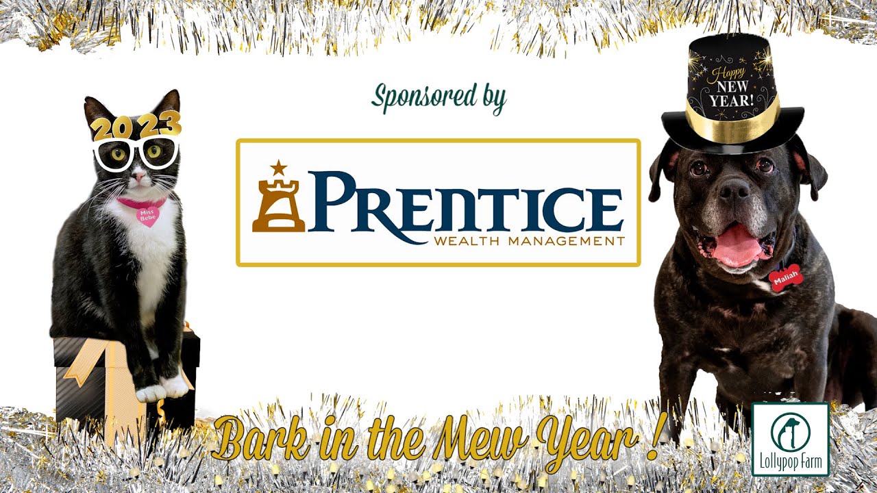 Bark in the Mew Year with Prentice Wealth Management - YouTube