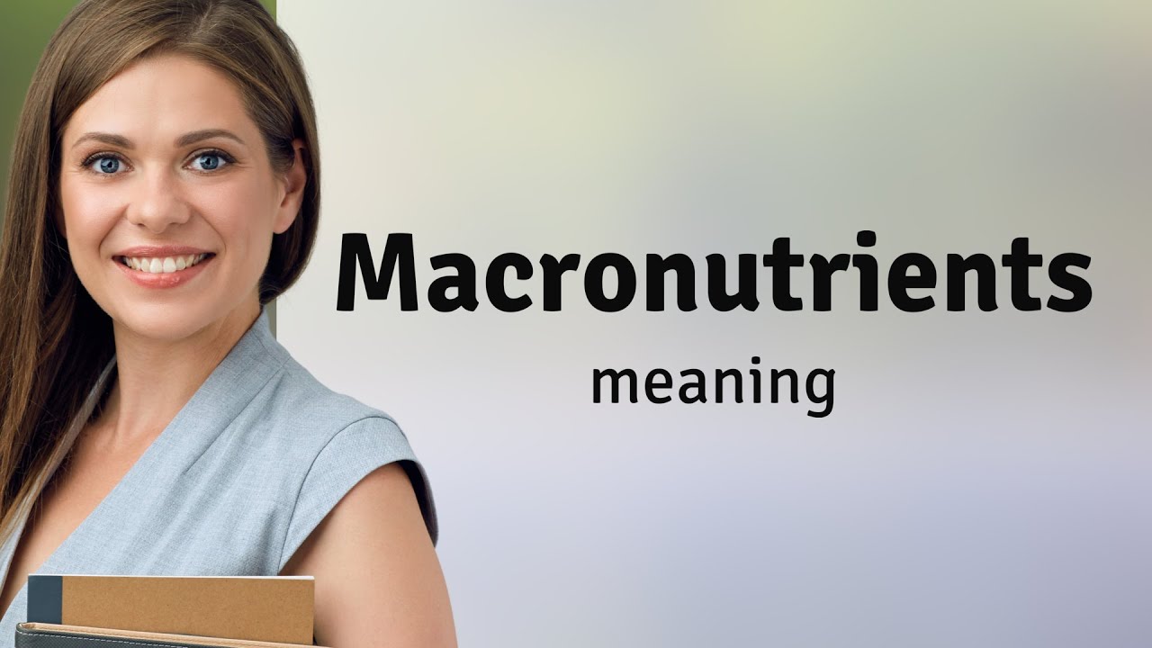 Understanding Macronutrients: Essential Building Blocks of Nutrition ...