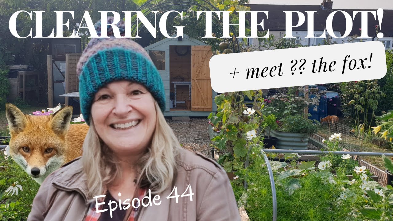 Episode 44 - Clearing the Plot and Meet ?? the Fox - YouTube