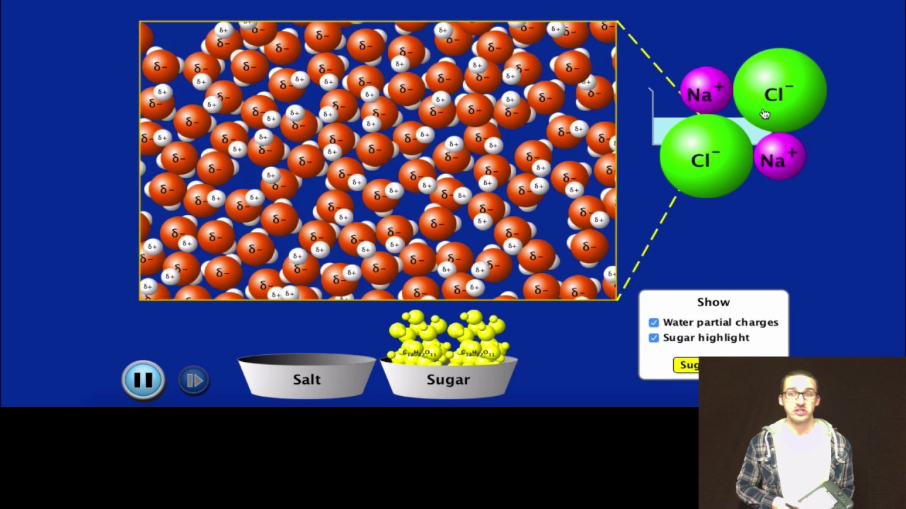 Solubility, Bonding, and Miscibility - YouTube