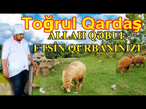 06 04 21 1ci h.Toğrul Qardaş.ALLAH qəbul etsin qurbanınızı🐏🐏🤲🤲