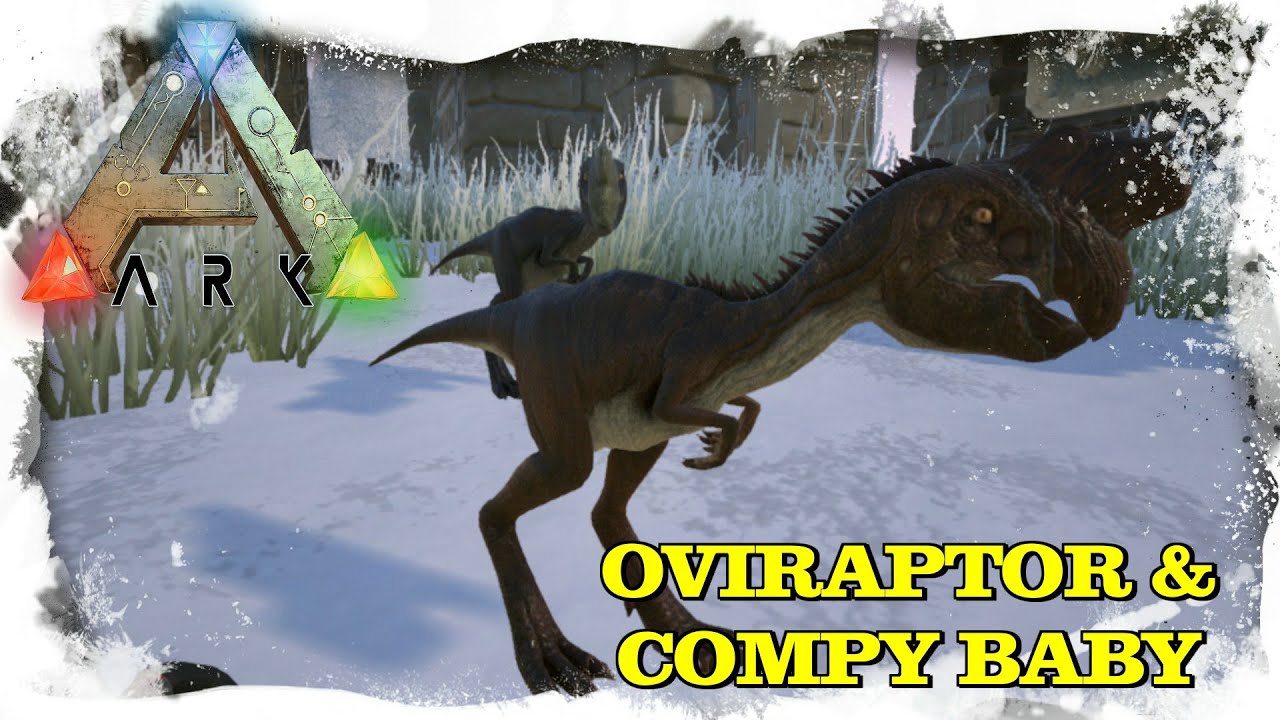 ARK SURVIVAL EVOLVED - OVIRAPTOR UND COMPY BABY BREEDING [GERMAN ...