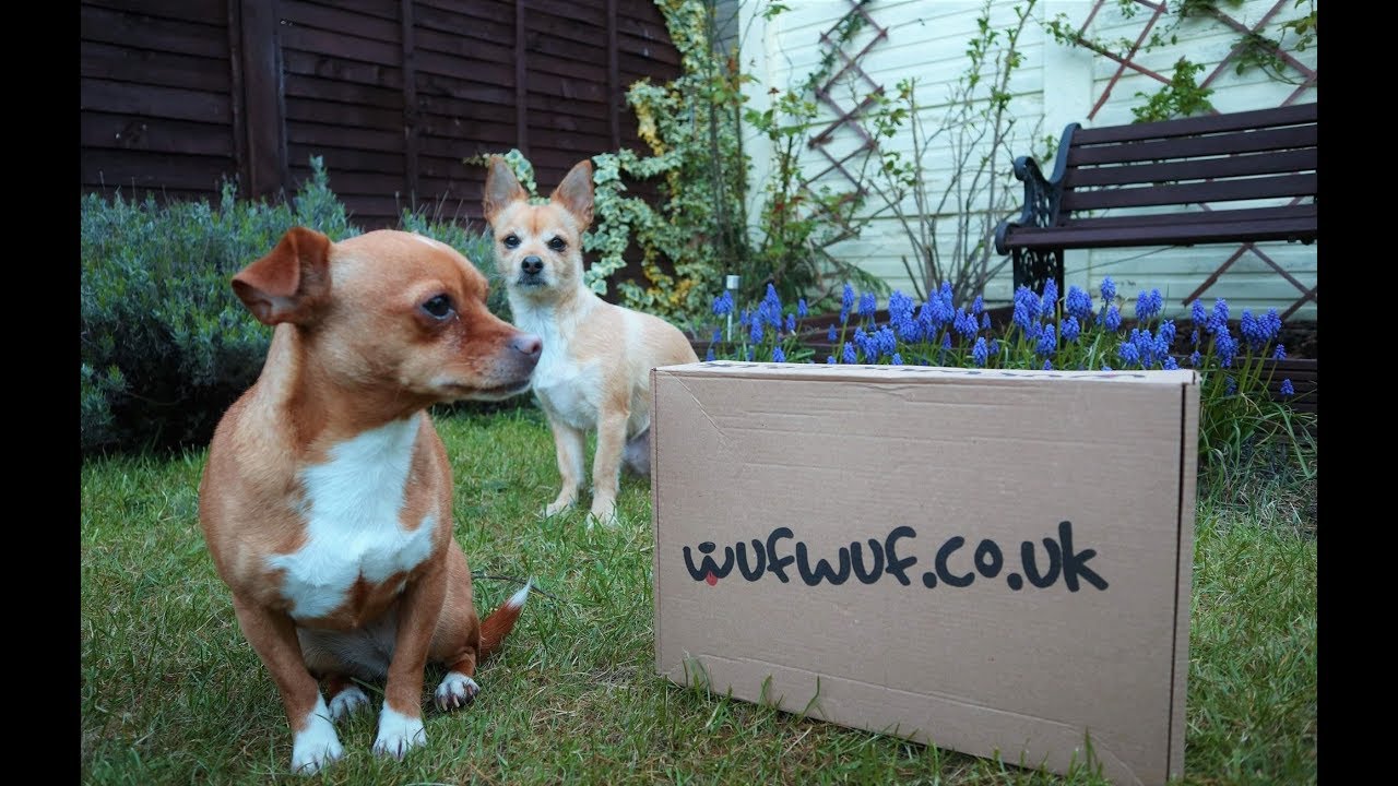 KEEP SMILING - A Bit Of Fun Unboxing The Wuf Wuf Mystery Subscription ...