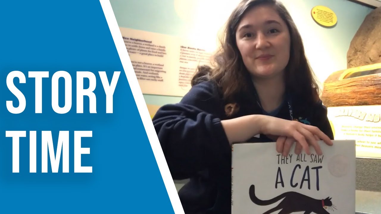 Airen Reads "They All Saw A Cat" by Brendan Wenzel | Story Time - YouTube